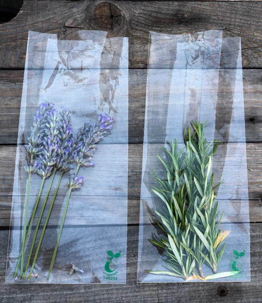 Bioplastique: Sachet transparent bioplastique PLA